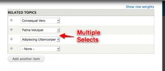 Entityreference Multiselectors | Lullabot