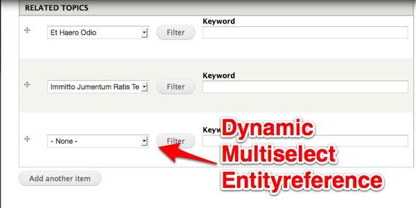 Entityreference Multiselectors | Lullabot