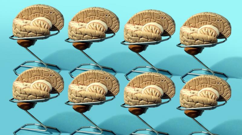 UX For Brains: Eight Ways Psychology Can Improve Your Designs | Lullabot